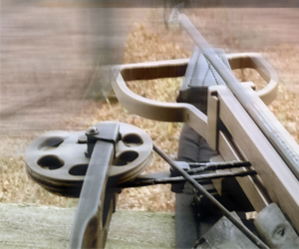 The Best Crossbow Hunting Games