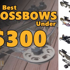 What Is The Best Crossbow For The Money (And Where To Buy) 🎯