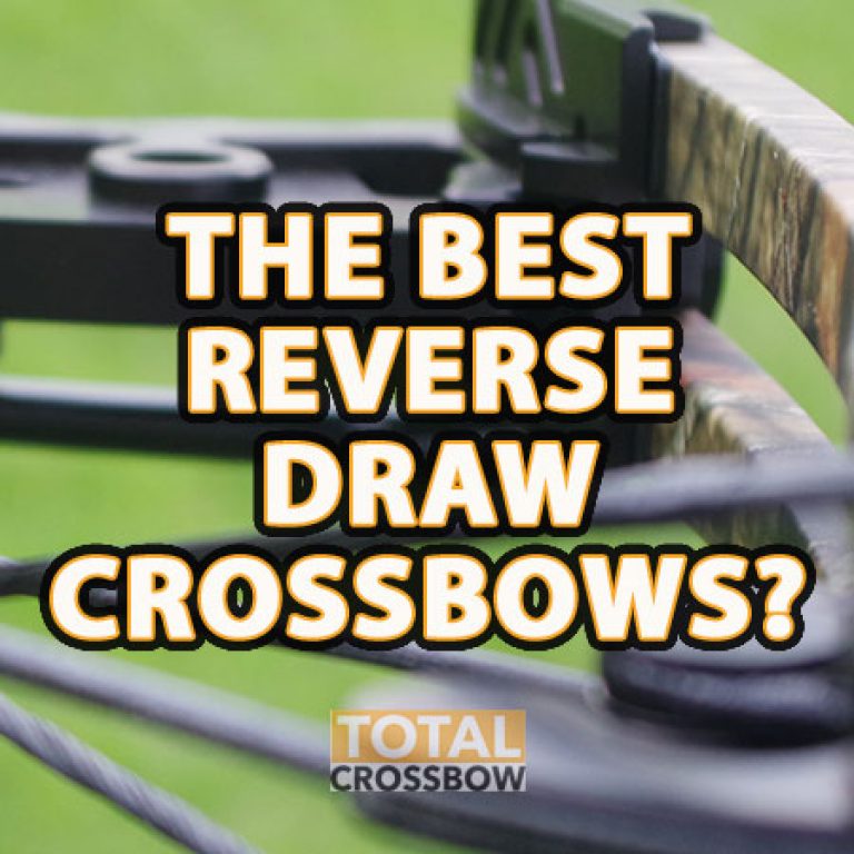 What Is The Best Cheap Crossbow For Hunting 🎯