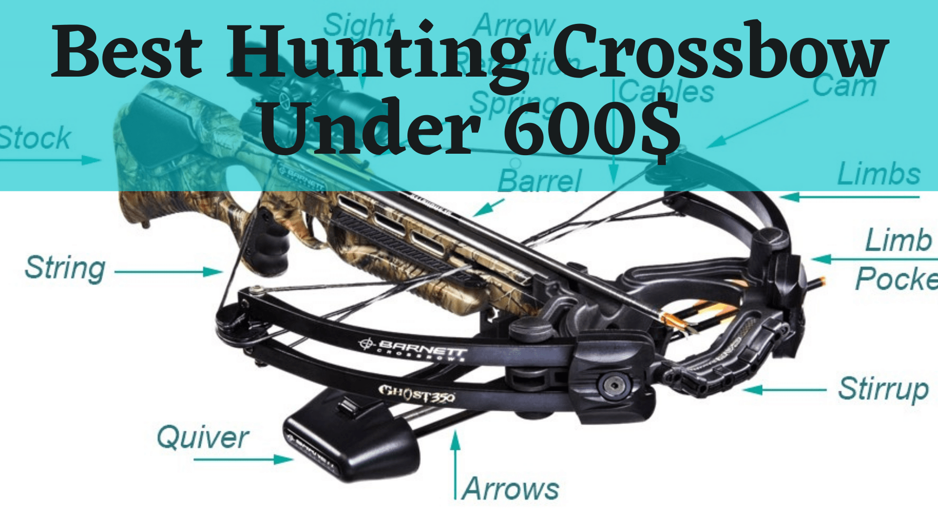 Best Crossbows Under $600 (2021 Models