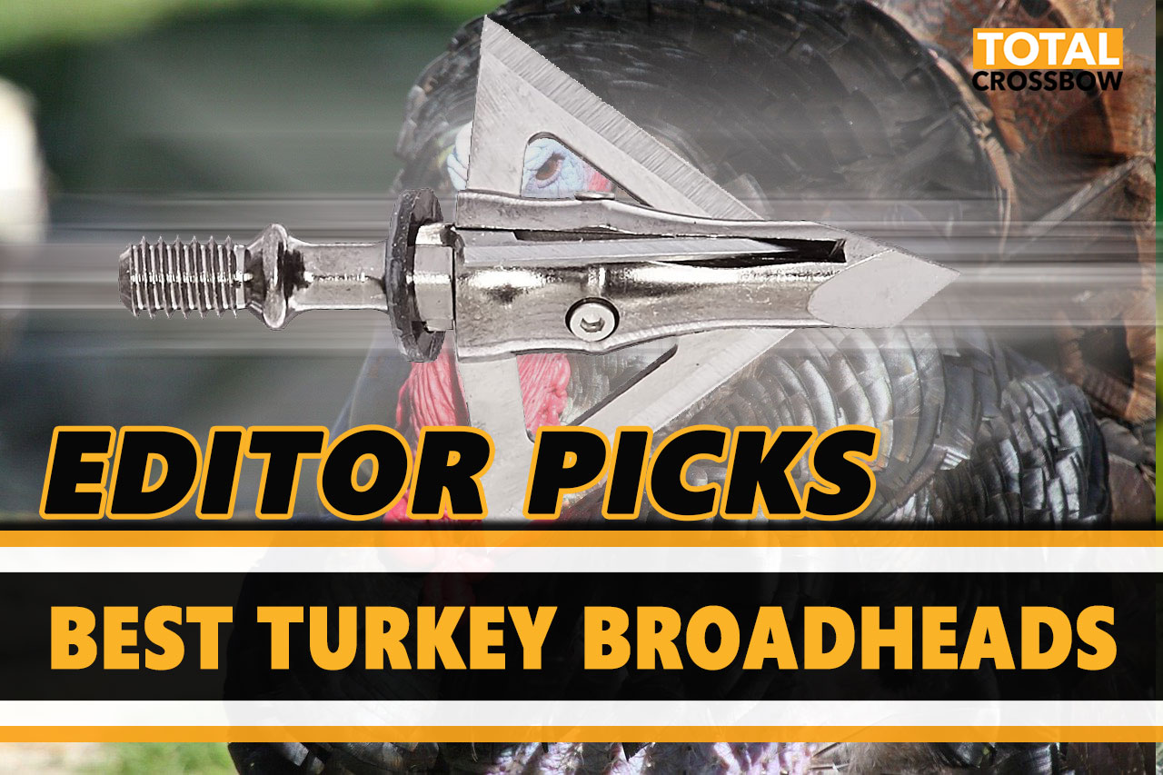 Best Broadheads For Turkey Hunting: Editor Picks