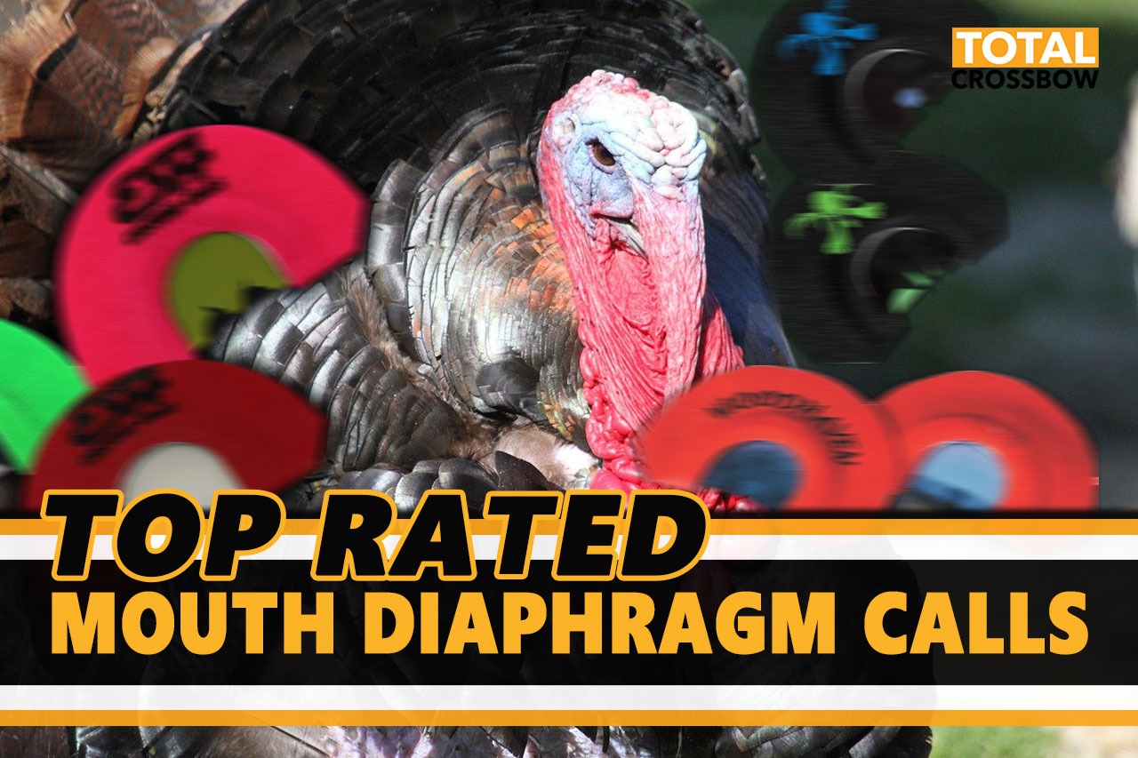 Best Diaphragm Turkey Mouth Calls